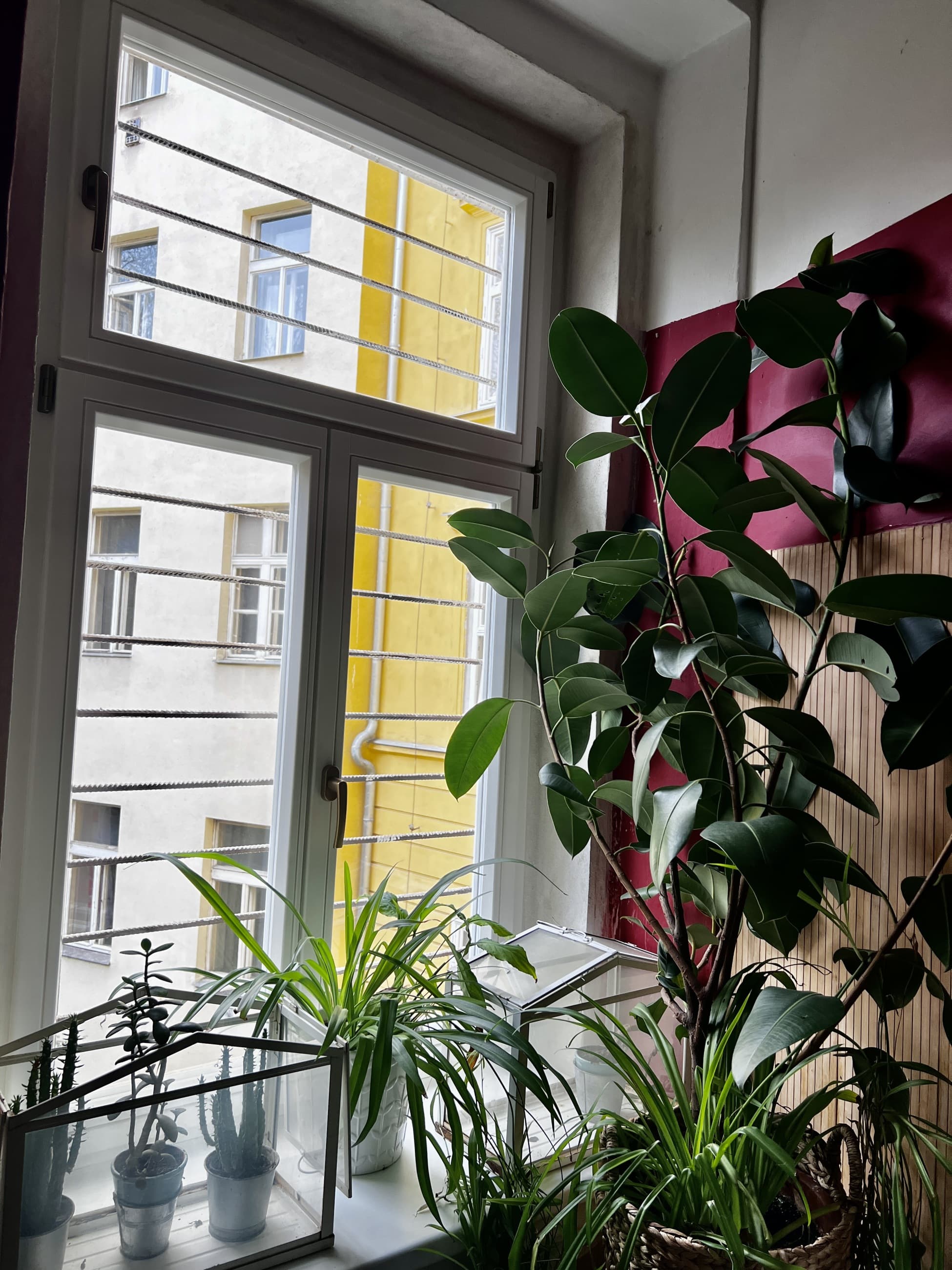 New windows at Elf Cheap Accommodation in Prague Czech Republic